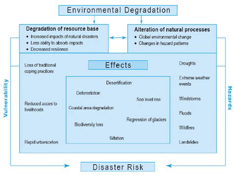 What Is An Environmental Hazard And Environmental Disaster At Dorothy