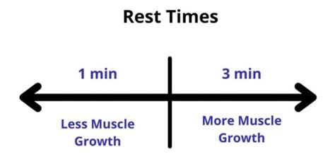 How Long Should You Rest Between Sets Irisefitness Com