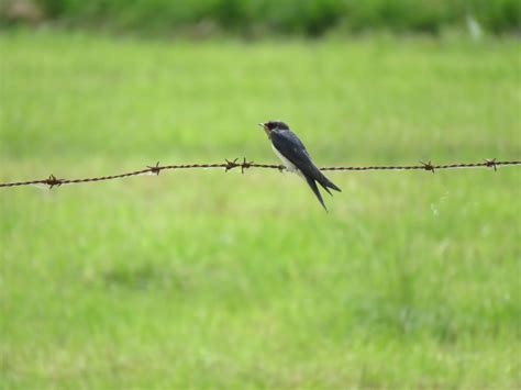 God Is In De Stilte Snelle Hapjes