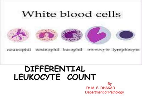 Differentialleukocytecount 170116144436 1 Pptx