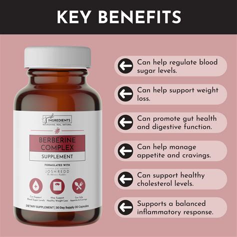 Berberine Supplement Just Ingredients