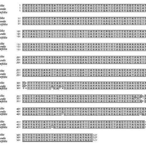 Comparison Of Nucleotide Sequences Of Its Region Nucleotide Sequence Download Scientific