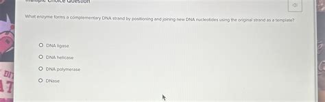 Solved What Enzyme Forms A Complementary Dna Strand By