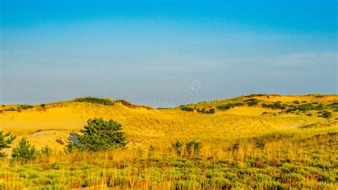 Sand Dunes And Grass Of The Provincelands Cape Cod Ma Us Stock Image