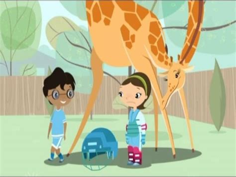Willas Wild Life 2008