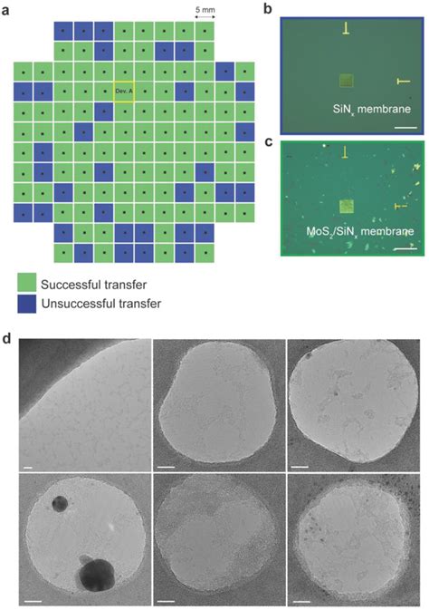 A Color‐map Showing The Wafer‐scale Transfer Efficiency Of Mos2 Over