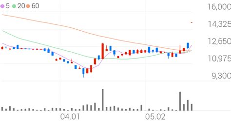 신풍제약우 3000 상한가 조선비즈
