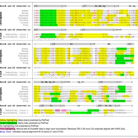 multiple sequence alignment and secondary structure prediction results