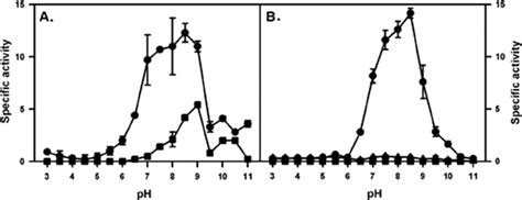 Activity Of His Tagged Ald At Different Ph Levels A Pyruvate