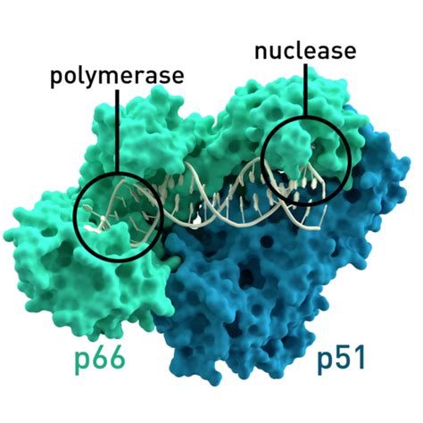 Proteins Structure Function Kaggle