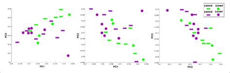 Scatter Plot Of The Top Three Principal Components For The Connectome
