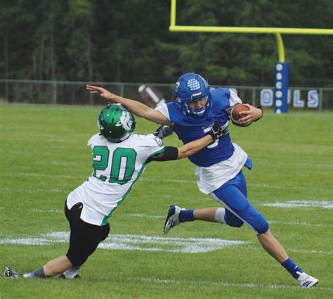 Owls Get Revenge The Alpena News