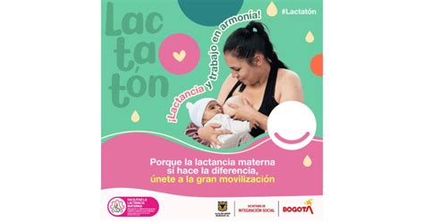 Agenda Y Actividades En La Semana Mundial De La Lactancia Materna