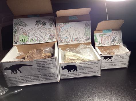 Displays I Made For My Fossils Paleo Re Creations The Fossil Forum