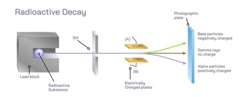 Software Testing Phases Alpha Beta Gamma Vector Image Lucox Cl