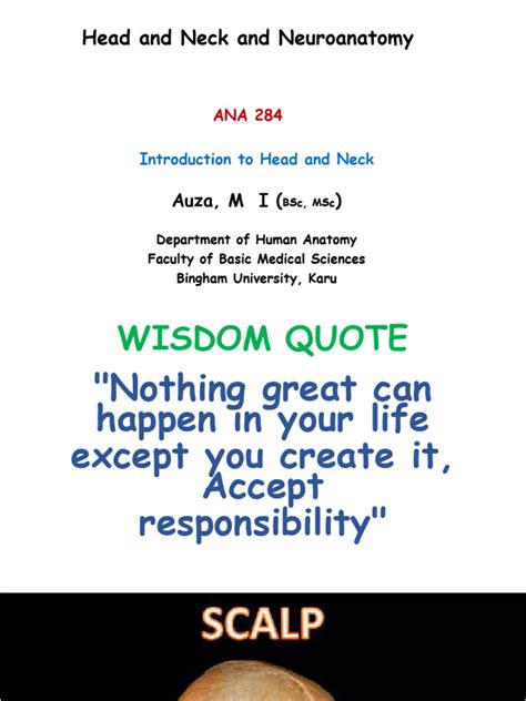 Intro Head And Neck Pdf Cerebrospinal Fluid Skull