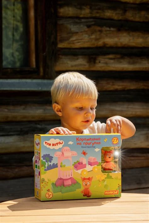 집 밖의 가족 가족의 순간 건강한 건물 고양이 셋 교육적인 귀여운 금발의 낮 노는 시간 놀이 다채로운 러시아의 레저 레크리에이션 목조 미소