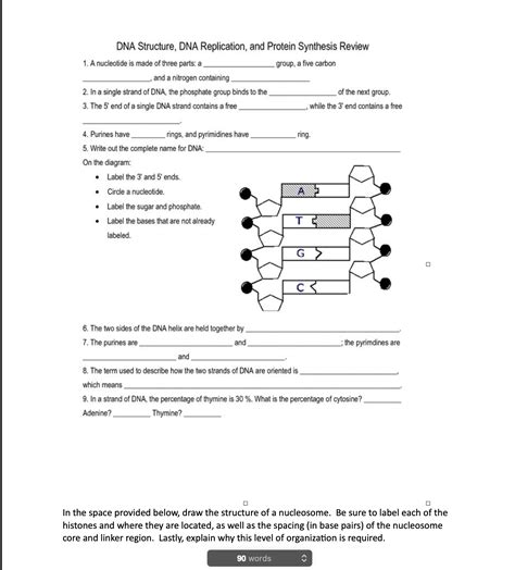 Solved Dna Structure Dna Replication And Protein Synthesis