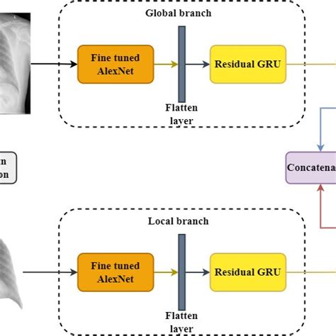 the structure of the proposed dual branch network download