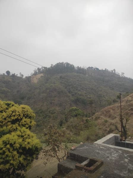 5 Bigha Residential Plot For Sale In Thano Dehradun Rei1249232