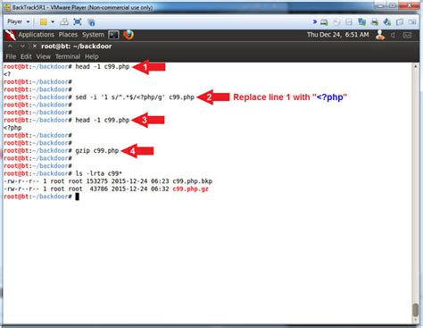 damn vulnerable web app dvwa lesson 14 upload and use c99 php