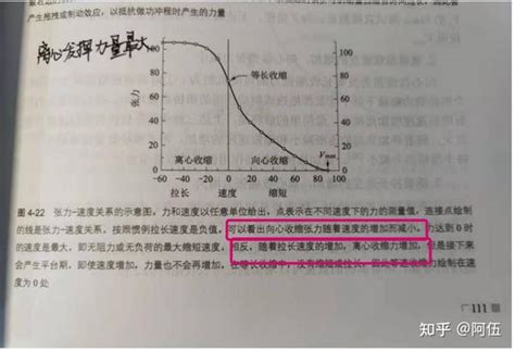 速度 张力关系 知乎