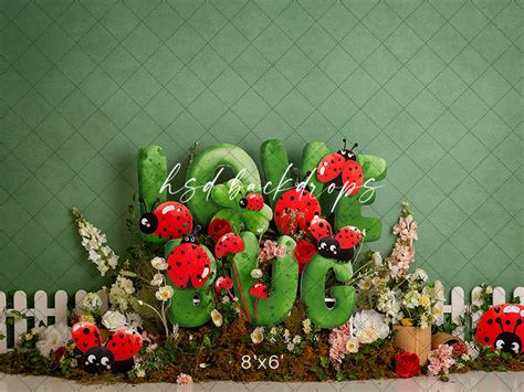 Lady Bug Cake Smash Photography Backdrop For Spring Portraits
