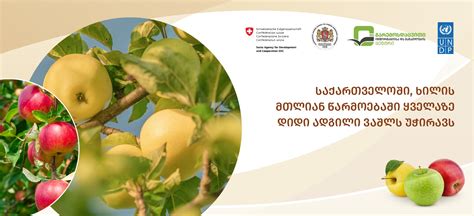 გარემოსდაცვითი ინფორმაციისა და განათლების ცენტრი 🍎🍏 მეხილეობა საქართველოს ერთ ერთი