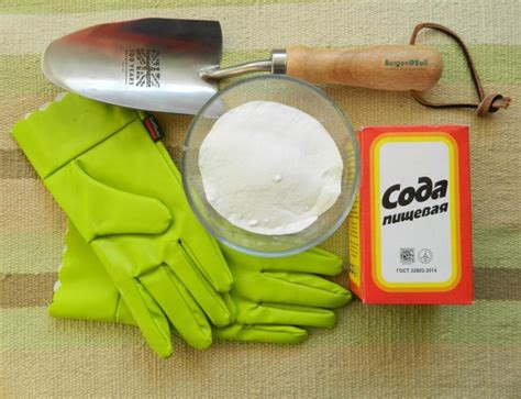 9 самых эффективных способов борьбы с сорняками без химии