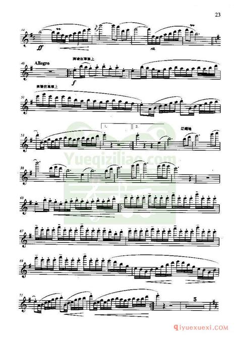 长笛独奏小品 在内蒙古草原上[戴宏威] 独奏分谱 长笛曲谱 器乐学习网