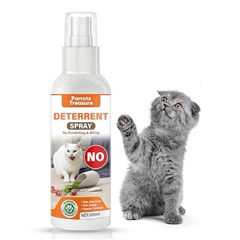 Citrus Spray For Cats The 15 Best Products Compared Wild Explained