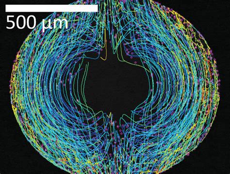 Anand Jagota Wheels Keep Turning In Friction Research P C Rossin College Of Engineering