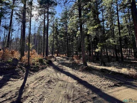 441 W Canyon Loop Mora Nm 87732 Updated 327