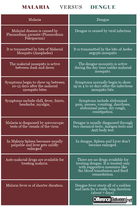 Difference Between Malaria And Dengue Difference Between