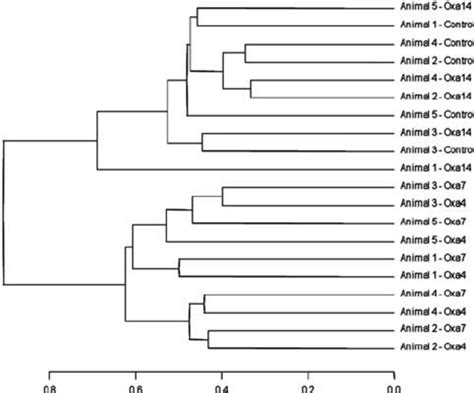 Cluster Analysis Of The Terminal Restriction Fragment Length Download Scientific Diagram