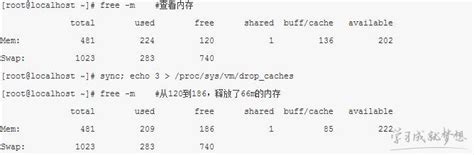 yum清缓存 centos7清理yum缓存和释放内存方法 csdn博客