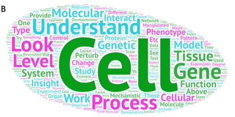 Neuronal Migration In The Cns During Development And Disease Insights From In Vivo And In Vitro