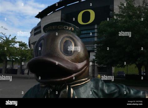 The Duck And Me Statue Of The Oregon Ducks Mascot At The University Of