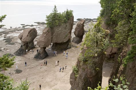 Bay Of Fundy Tourist Information Facts And Picture