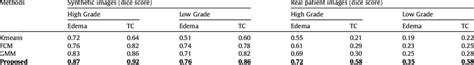 Comparison Of Dice Score Values Of Proposed Method With Conventional