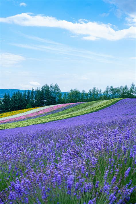 2022 홋카이도 핫플 모음집