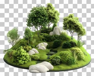 Landscape Architecture Site Plan Tree PNG