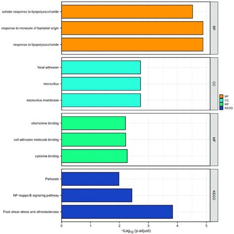 Go Enrichment And Kegg Analyses The Plot For The Top 3 Terms Of Go Download Scientific Diagram
