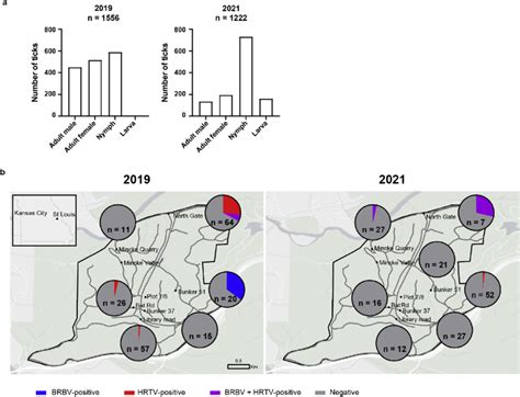 Number Of Ticks Collected In Study Grouped According Life Stage And Download Scientific