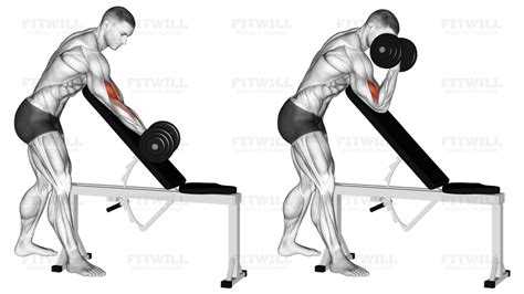 Dumbbell Standing One Arm Curl Over Incline Bench Exercise Guide Video Techniques Benefits