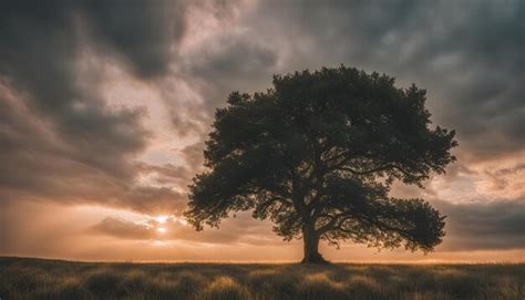 Premium Photo A Sunset With A Tree And A Sunset In The Background