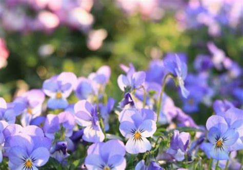 ツインレイ統合のために ツインレイに出会い、人生好転していくあなたへ