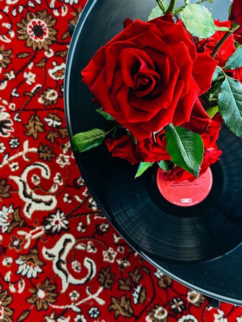 Tray Coffee Table — Fresh Creative Styling