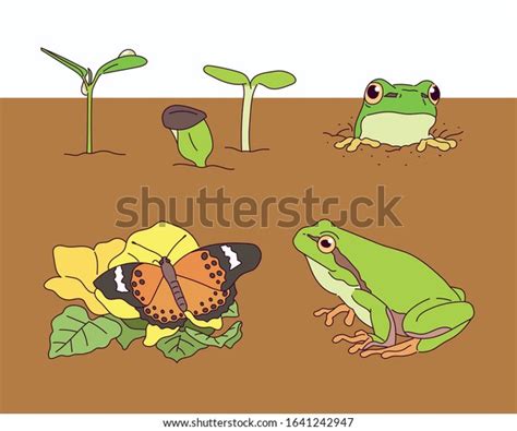 개구리와 식물 6개가 넘는 로열티 프리 라이선스 대상 스톡 일러스트 및 그림 Shutterstock