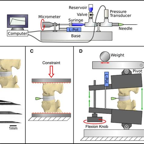 Intradiscal Injection Results In Both High Fluid Pressure And An Download Scientific Diagram